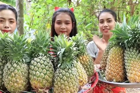 Manfaat Buah Nanas Ternyata Dapat Melembutkan Daging Simak Ulasannya