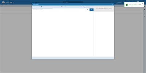 Uploaded Images Not Shown When No Pages Have Been Saved Yet · Issue