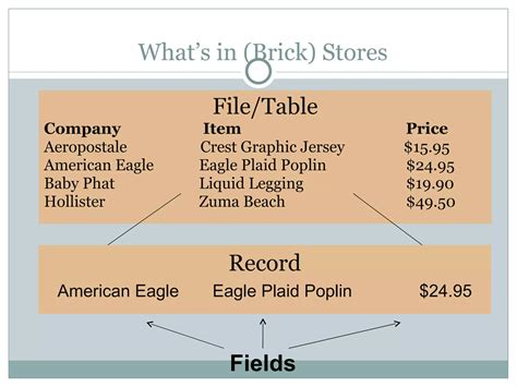 Database Basics Ppt