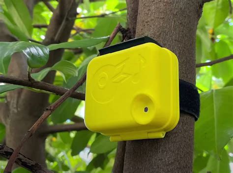 Ai Bird Monitoring Central Dartmoor Farm Cluster