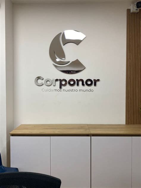 Logo Corporativo En Acrílico Plateado Efecto Espejo Acrílico Espejo Acrilico Espejo Fondo De