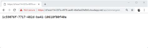 Net Core Api In Aci Secured With Using Application Gateway