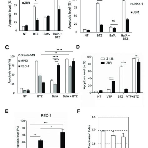 Autophagy Inhibition Increases Apoptosis Of Btz Resistant Cells Flow