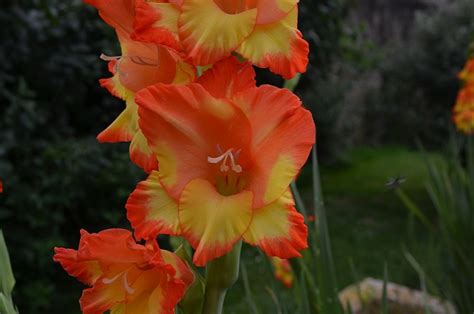 Rtp Pgslot Rtp Live Pgslot