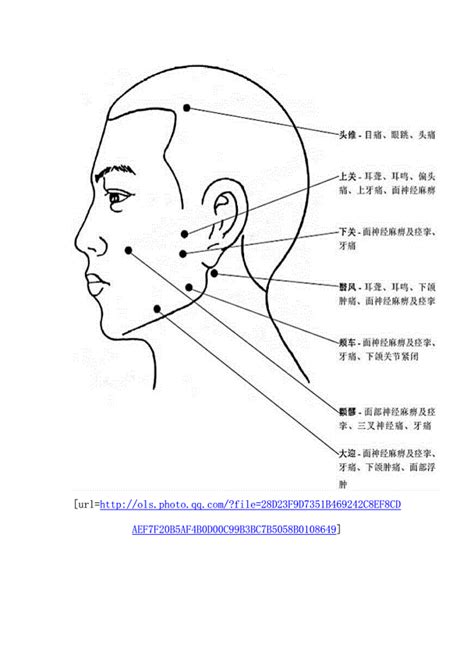 全身穴位口诀doc 花瓣网