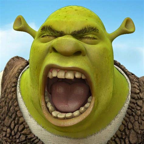 Shrek Meme
