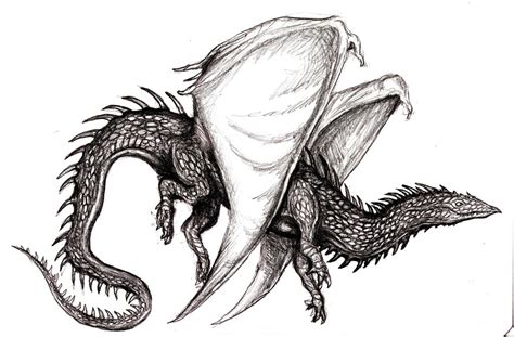 Winged Dragon Viii By Kingovrats On Deviantart