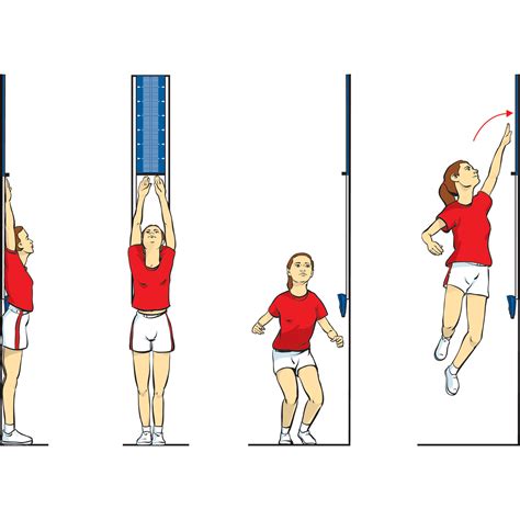 Vertical Jump Tip 2 Tip Sergeant Jump Board