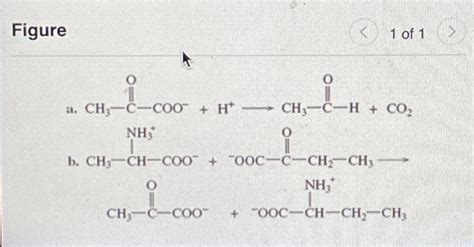 Solved Part A Figure 1identify The Class Of Enzyme That