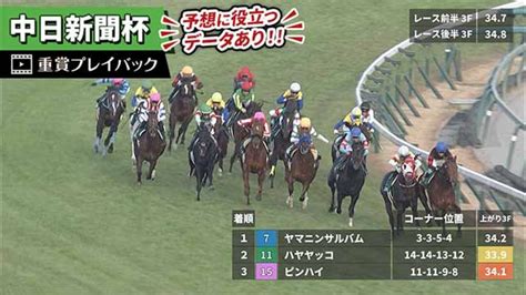 【中日新聞杯 2024】過去5年のレース映像・傾向 競馬予想動画 Netkeiba