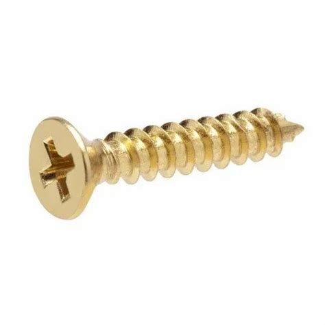 Golden Brass Wood Screws At ₹ 100kilogram In Ludhiana Id 20564153148