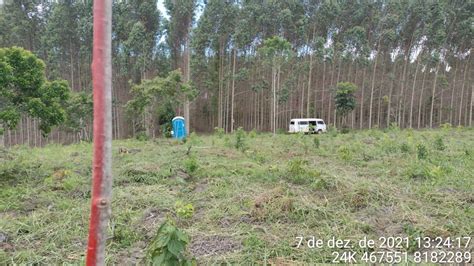Projeto de Reposição Florestal do LT 500 KV SAPEAÇU Natureza Bela