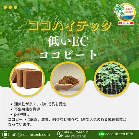 Best Choice 有機栽培培地としてのココピートの利点を探る Cocohitech Japan 1