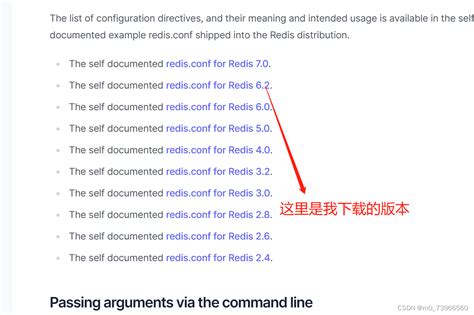 redis的docker搭建过程 docker 自建redis csdn博客