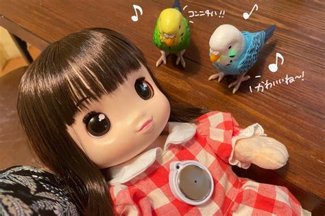 48％割引ホワイト系【超ポイント祭期間限定】 タカラトミー あみちゃん おもちゃ人形 趣味おもちゃホワイト系 Otaonarena