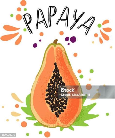 벡터 손 그리기 컬러 무화과 그림입니다 펄프와 과일 뼈와 녹색 잎 보라색 푸른 복숭아 흰색 배경에 무화과와 신선한 열대 과일 그림 건강한 생활방식에 대한 스톡 벡터 아트 및