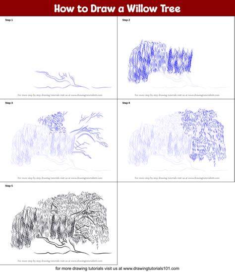 How To Draw A Willow Tree Trees Step By Step Drawingtutorials