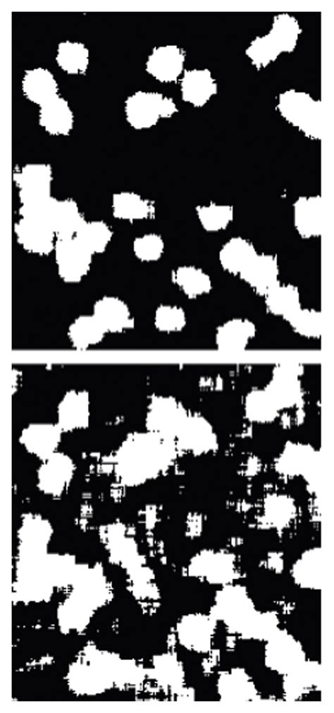 Segmentation Results On Image Cell” Corrupted By Gaussian And Salt And Download Scientific