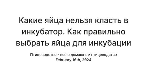 Какие яйца нельзя класть в инкубатор Как правильно выбрать яйца для