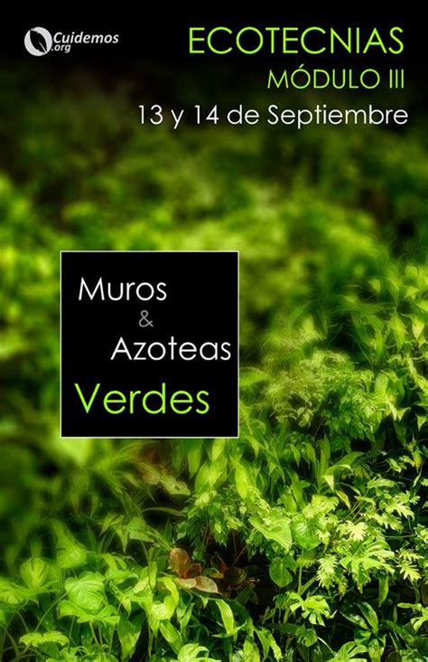 Muros Y Azoteas Verdes