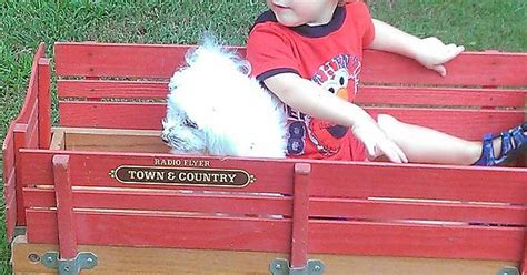 They Saw A Squirrel Imgur