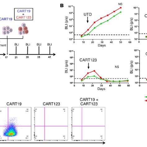 Cd123 Expression On Normal And Leukemic Hematopoietic Cells Download Scientific Diagram