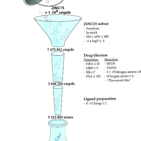 Schematic Overview Depicting The Number Of Molecules During Database