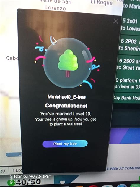 michael s blog microsoft msn weather e tree