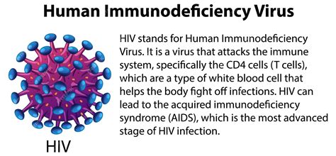 Premium Vector Human Immunodeficiency Virus With Explanation