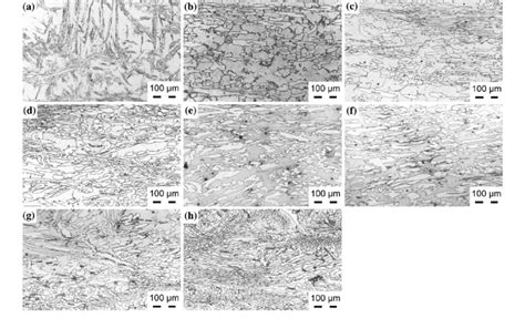 Microstructures Of The Samples For Different Temperatures At A Strain Download Scientific