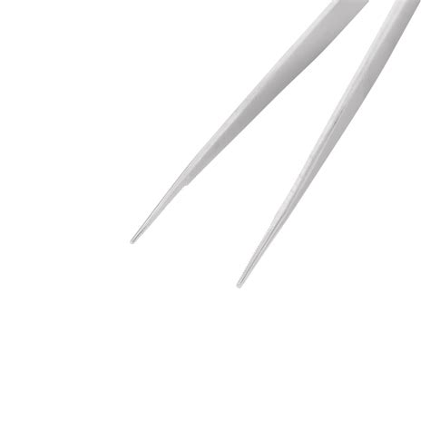 Plain Splinter Forceps Ki079