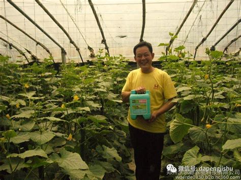 为什么冲施肥不能频繁更换？到底谁说的对？施肥料蔬菜效果
