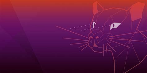 How I Fixed My ‘ubuntu 2004 No Audio “dummy Output” Issue By Aaro