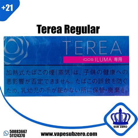 Terea Regular 200 Cigarette Vape Subzero