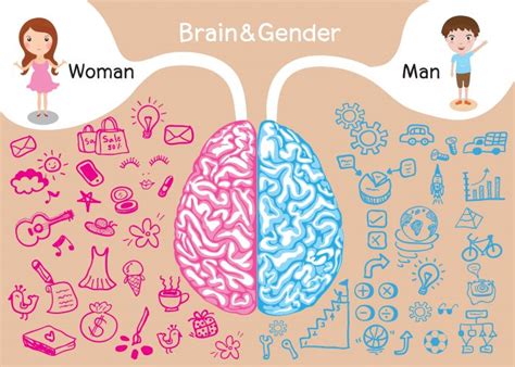 Los Cerebros De Hombres Y Mujeres Se Parecen Más De Lo Que Piensas