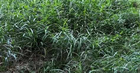 합리적인 가격으로 친절하게 그리고 빠르게 진행해주셔서 감사했습니다 번창하세요~ 숨고 숨은고수