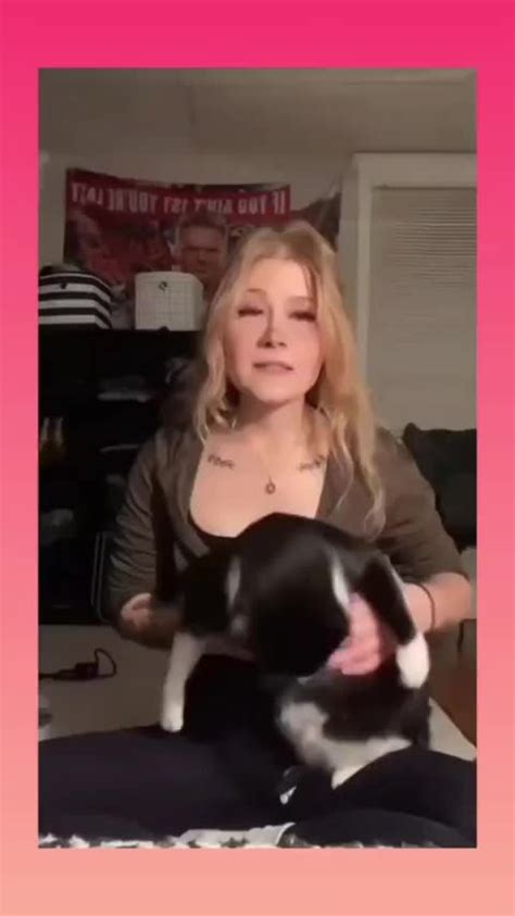 You Made The Cat Angry Album On Imgur