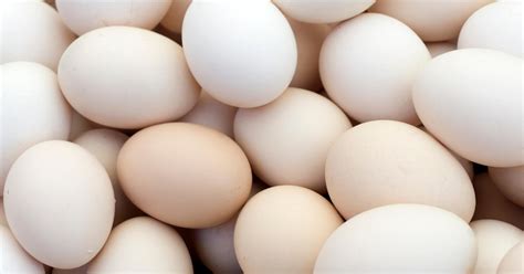 බිත්තර ආනයනය කිරීම ලබන සතියේ සිට