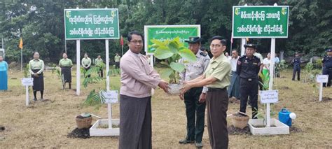 ထန်းတပင်မြို့နယ် အထွေထွေအုပ်ချုပ်ရေးဦးစီးဌာန၌ မိုးရာသီသစ်ပင်စိုက်ပျိုးပွဲကျင်းပ Information