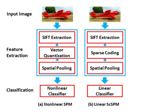 Linear Spatial Pyramid Matching Using Sparse Coding For Image