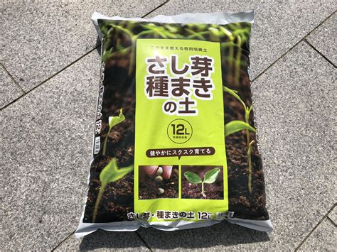 パンジービオラを種から育ててみよう種まきしてみた 雑木と芝生の庭DIY