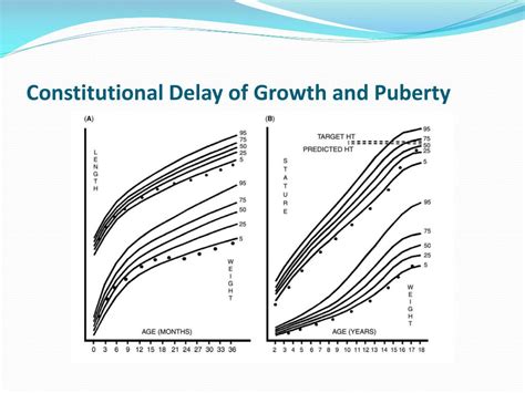 Ppt הגישה לילד עם קומה נמוכה הגודל כן קובע Powerpoint Presentation