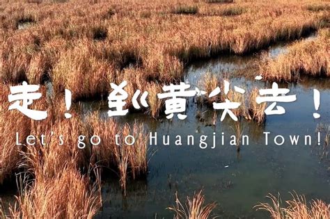 离上海3小时车程的小镇，正疯狂吸引年轻人凤凰网视频凤凰网