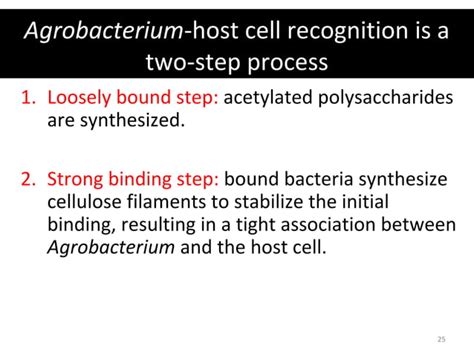 Molecular Biology Of Agrobacterium Infection Ppt