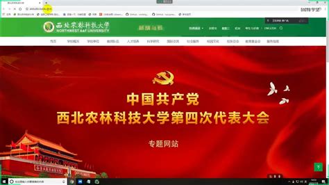 8 Pytorch搭建rnn情感分析模型 Youtube