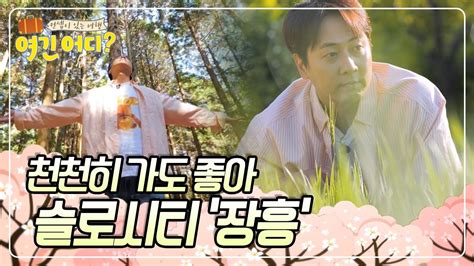 빼곡한 편백 숲 맑은 공기로 힐링하고~~ 장흥에서만 맛볼 수 있는 한우키조개표고 장흥 삼합까지 즐기는 장흥 여행 여긴