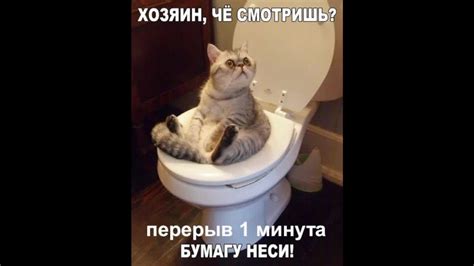 Kuc Kuc — Vk Видео Live