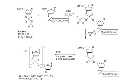 Scheme 1 Dmt Dimethoxytrityl B Thy Or N Protected Nucleobases Bz