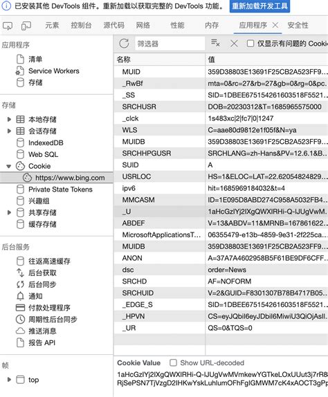 搭建一个定制版New Bing吧 梅塔沃克 专注跨境