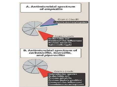 Antibacterials Cell Wall Synthesis Inhibitors Pptx